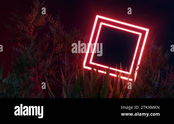 Futuristic neon 3D animation. Glowing red square light among the bushes ...