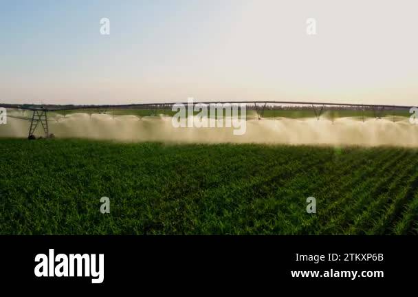 Irrigation of agricultural field. Water sprinkler system working on ...