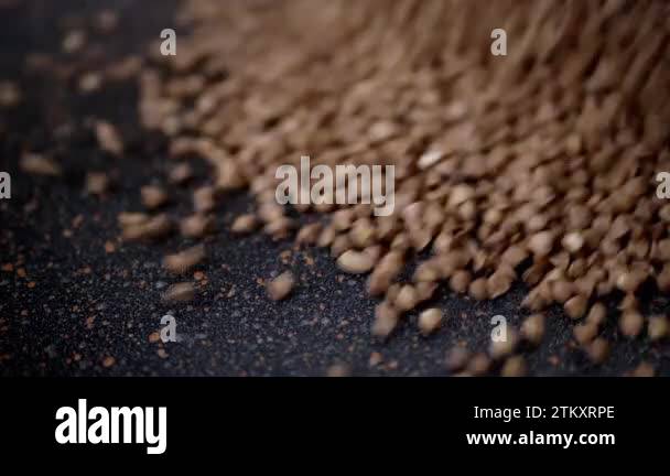 Grains of Buckwheat Fall on a Black Background in Slow Motion. Close up ...