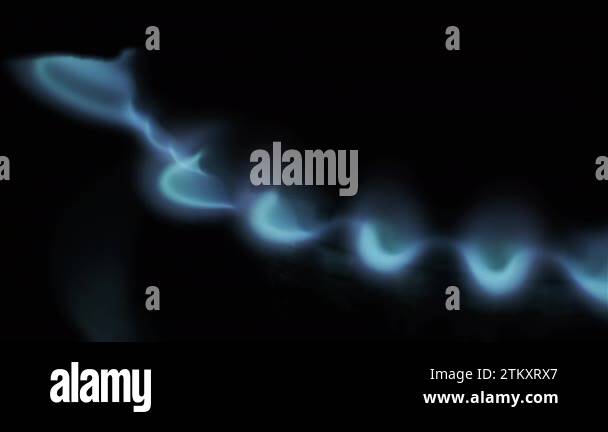Ignited gas on a burner close-up. Burning blue flame of gas on a ...