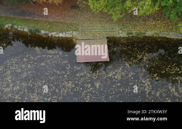 Pier for park visitors. two steps lead to it. planks terrace over water ...