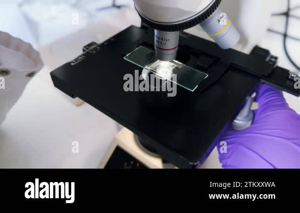 Female research scientist looking at samples under microscope. 4K ...