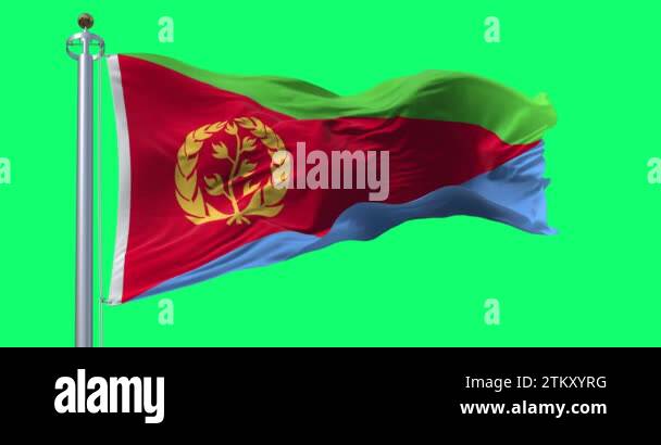 Eritrea National Flag Waving On Green Screen Red Green And Blue Triangles Gold Emblem Of