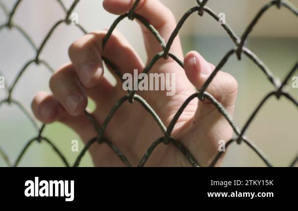 Two hands touching each other through the metal mesh of the fence. High ...