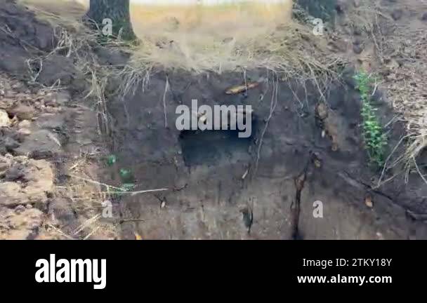 camera moves along shallow trench towards shooting cell on an area ...