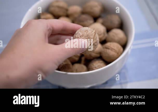 Farmer Hands Takes and Holding One Nut from a Full Bowl of Walnuts on ...