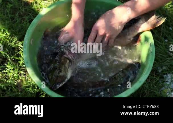 The slaughter river Stock Videos & Footage - HD and 4K Video Clips - Alamy