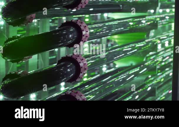 Algae reactor science tubular, research pipe hose modern laboratory bioreactor tubing multi ...