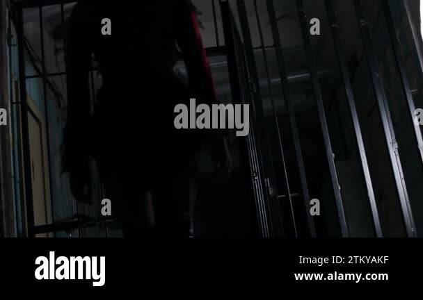 Brunette girl in Halloween style. A woman in prison, a scary scene ...