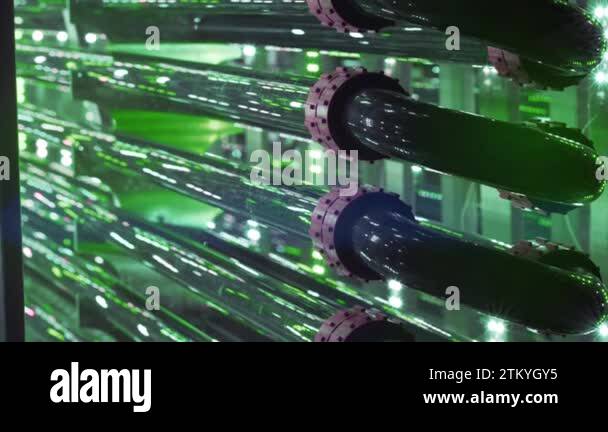 Algae reactor science tubular, research pipe hose modern laboratory ...