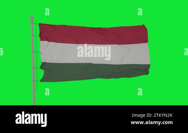 Hungary flag is waving on green screen. Hungary flag seamless loop ...