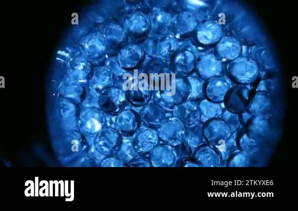 Cell division, formation of morula and embryo. The concept of the ovum ...