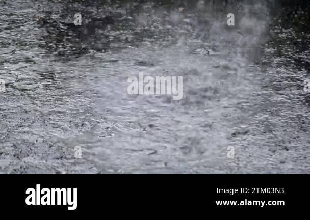 Rain. Rain dripping. drops of heavy rain dripping on the asphalt ...