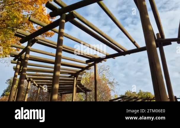 Nursery log Stock Videos & Footage - HD and 4K Video Clips - Alamy