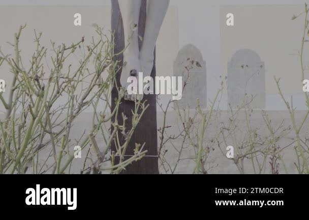 Crucifixion feet Stock Videos & Footage - HD and 4K Video Clips - Alamy