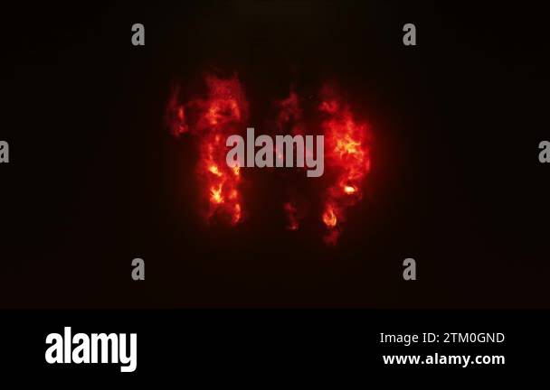 Number 19 Stock Videos & Footage - HD and 4K Video Clips - Alamy