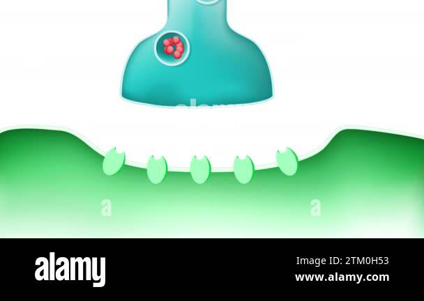 Target release mechanism Stock Videos & Footage - HD and 4K Video Clips ...