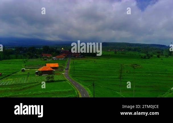 Aerial View of Green Rice Fields and villages in Pronojiwo, Lumajang ...