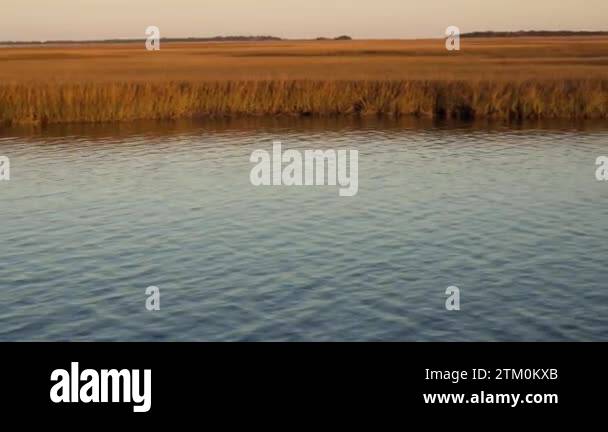 Golden hour on St Marys River, Georgia. Sea grass on salt marsh ...