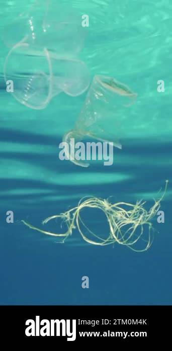 Vertical video, Plastic debris floating below surface in blue water ...