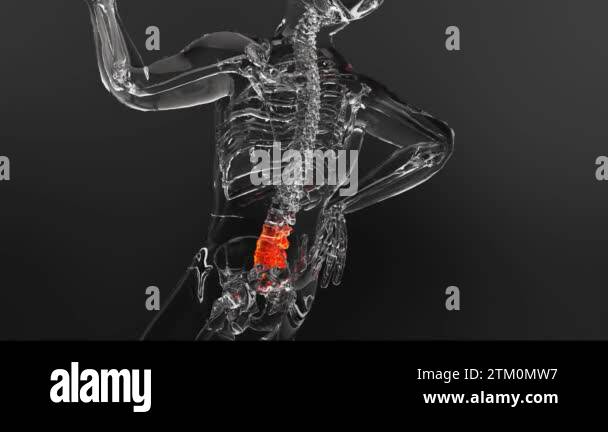 Man back pain anatomy Stock Videos & Footage - HD and 4K Video Clips ...