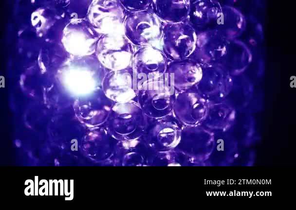 Animation of early embryonic development. Conceptual microbiology in ...