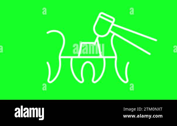 Animated crown white line icon. Cap covering damaged tooth. Loop HD ...