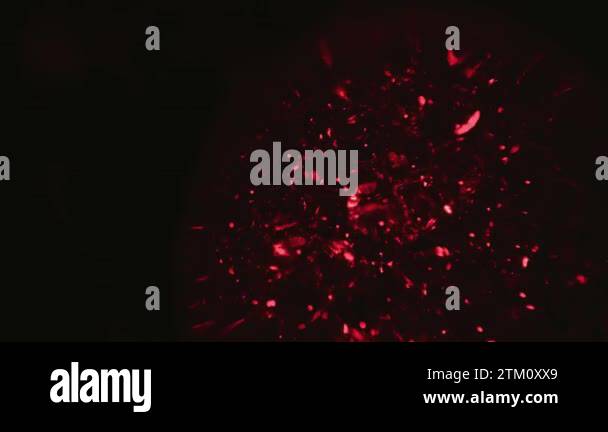 The concept of the ovum. Animation of early embryonic development. Cell ...