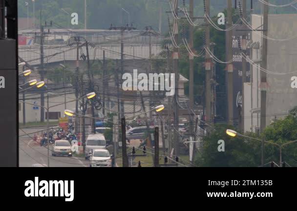 Tangled tail Stock Videos & Footage - HD and 4K Video Clips - Alamy