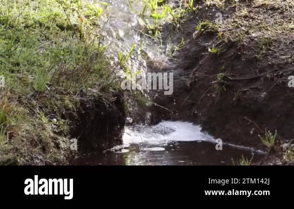 Rain fresh water runoff Stock Videos & Footage - HD and 4K Video Clips ...