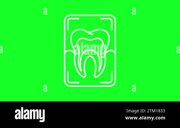 Animated dental xray white line icon. Radiology. Medical examination ...