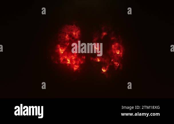 Number 40 Stock Videos & Footage - HD and 4K Video Clips - Alamy