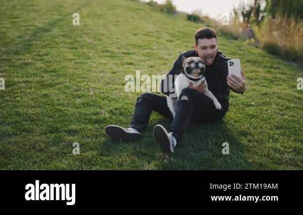 Dog sitting like person Stock Videos & Footage - HD and 4K Video Clips ...