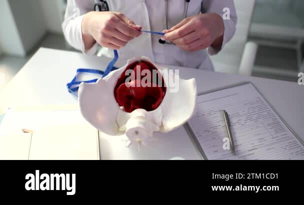 Gynecologist measures dimensions of pelvis and transverse dimensions of ...