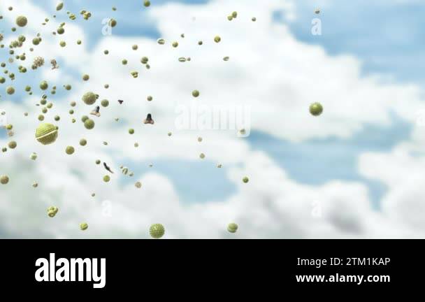 Illustration of pollen air Stock Videos & Footage - HD and 4K Video ...