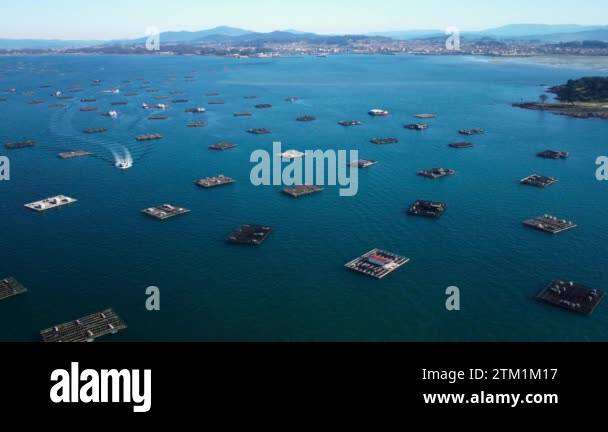 Mussel farm galicia Stock Videos & Footage - HD and 4K Video Clips - Alamy