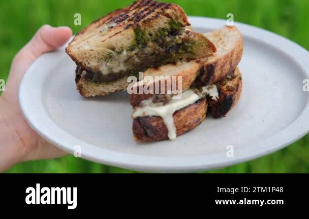 Appetizing sandwiches for breakfast on a white plate on a green ...