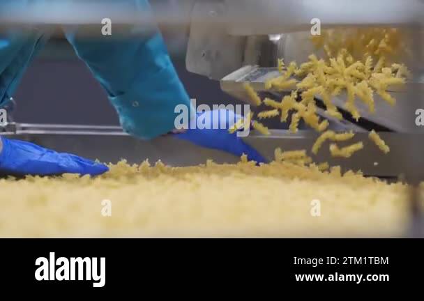 Quality control manager working at the modern pasta factory checks ...