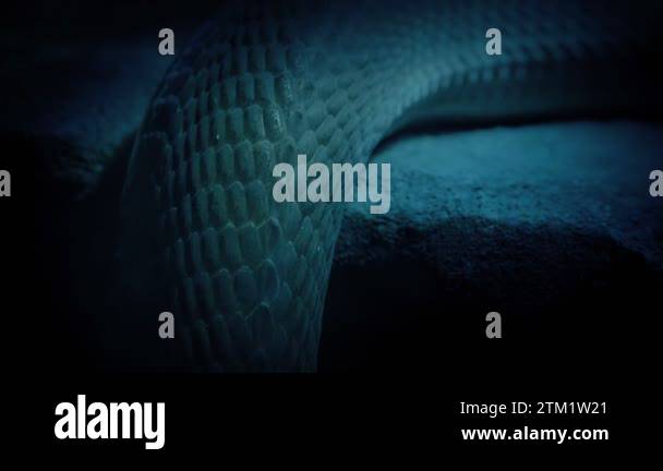 Body plot Stock Videos & Footage - HD and 4K Video Clips - Alamy