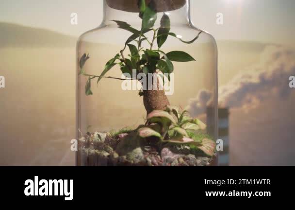 wonders of nature with this breathtaking video of an ecosystem in a jar ...