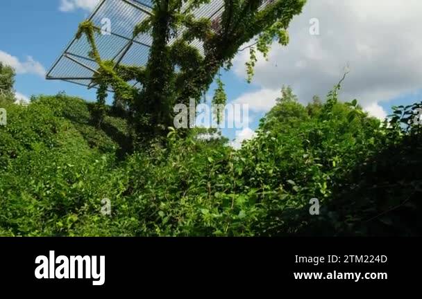 Botanical garden on the roof of the Warsaw University library modern ...
