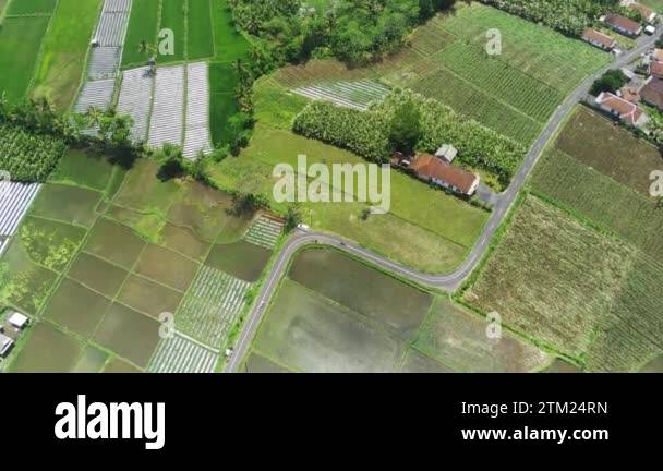 Aerial View of Green Rice Fields and villages in Pronojiwo, Lumajang ...
