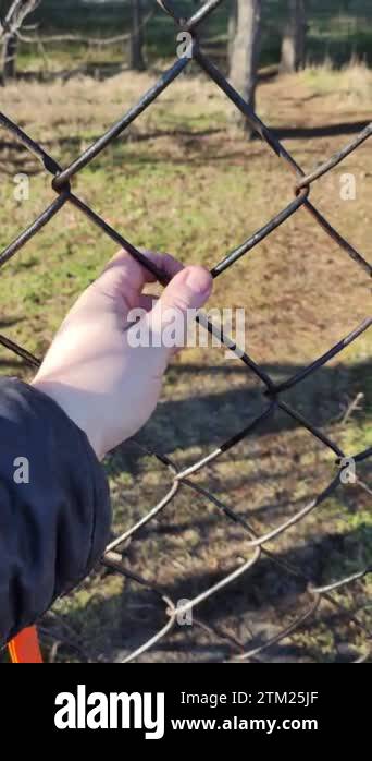 iron grate. steel mesh. the hand is holding the grate. a man's hand ...