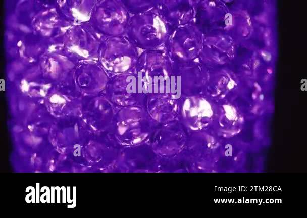 Animation of early embryonic development. Conceptual microbiology in ...