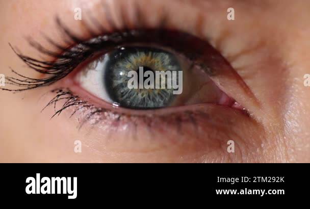 Eye vision optical observation Stock Videos & Footage - HD and 4K Video ...