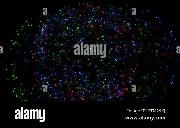 Firework Display in loop-able beautiful 3d animation. Outburst majestic ...