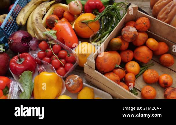 Landfill food waste Stock Videos & Footage - HD and 4K Video Clips - Alamy
