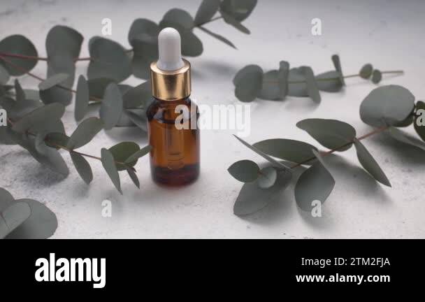 Pipette with essential oil, eucalyptus leaves on a concrete background ...