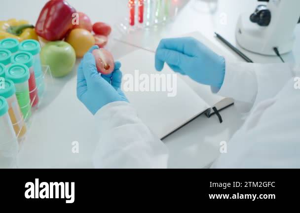 Scientist check chemical fruit residues in laboratory. Control experts ...