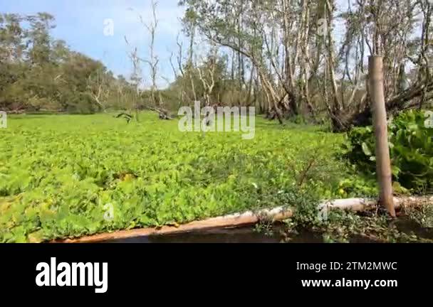 National tra Stock Videos & Footage - HD and 4K Video Clips - Alamy